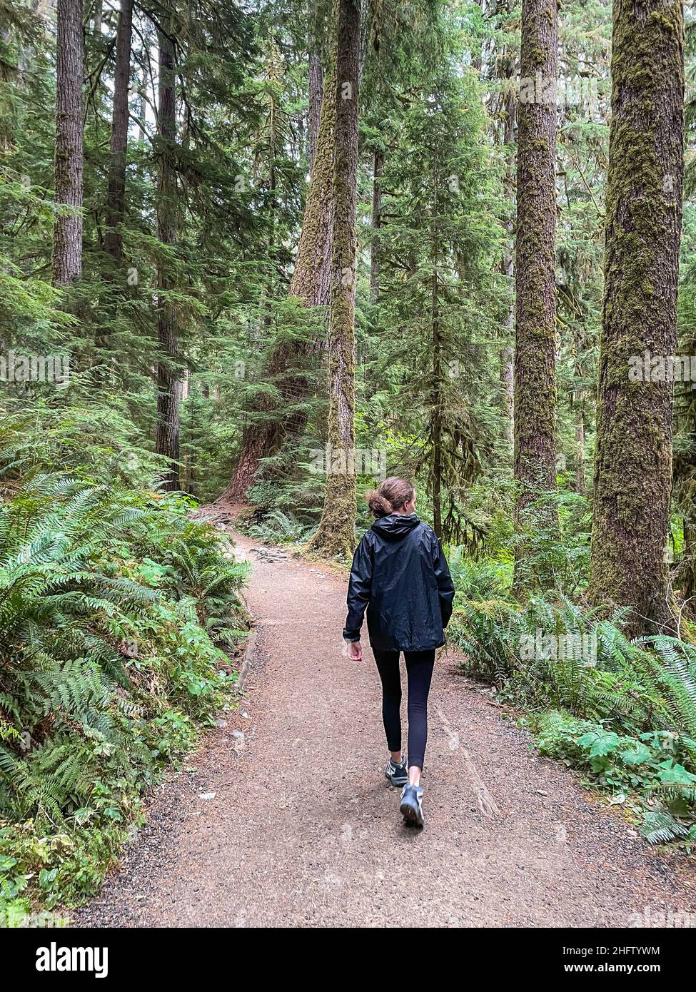 Le Cascate del Sol Duc nella Valle del Sol Duc sono chiamate le cascate ...