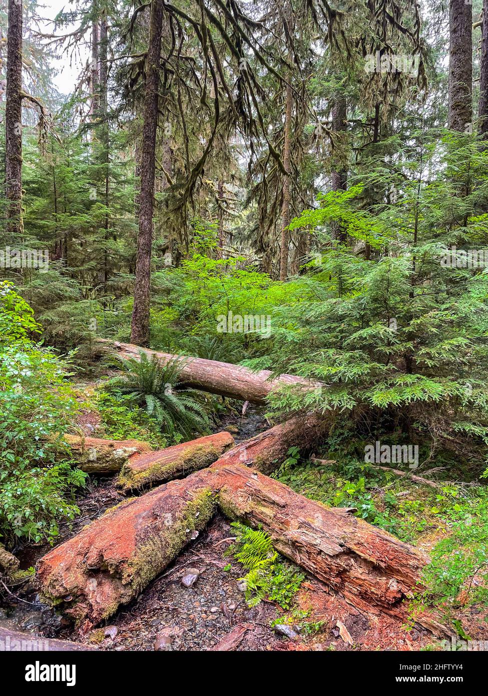 Le Cascate del Sol Duc nella Valle del Sol Duc sono chiamate le cascate ...