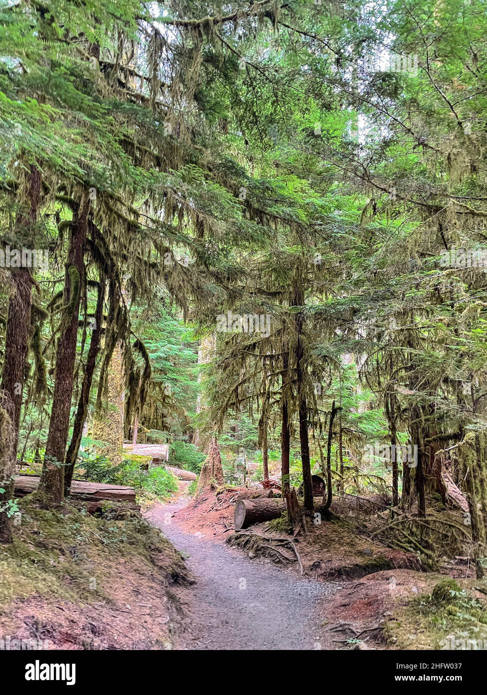 Le Cascate del Sol Duc nella Valle del Sol Duc sono chiamate le cascate ...