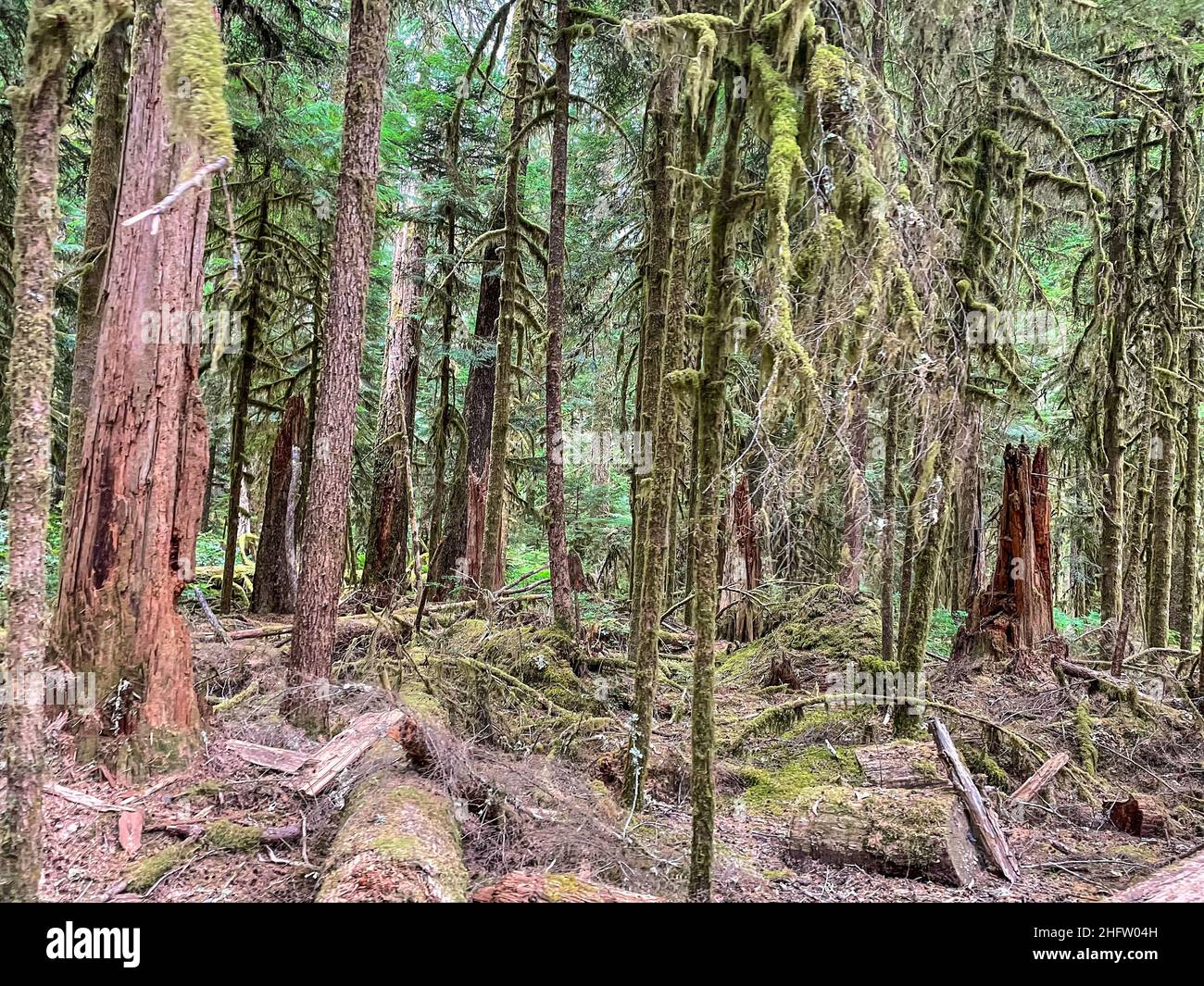 Le Cascate del Sol Duc nella Valle del Sol Duc sono chiamate le cascate ...