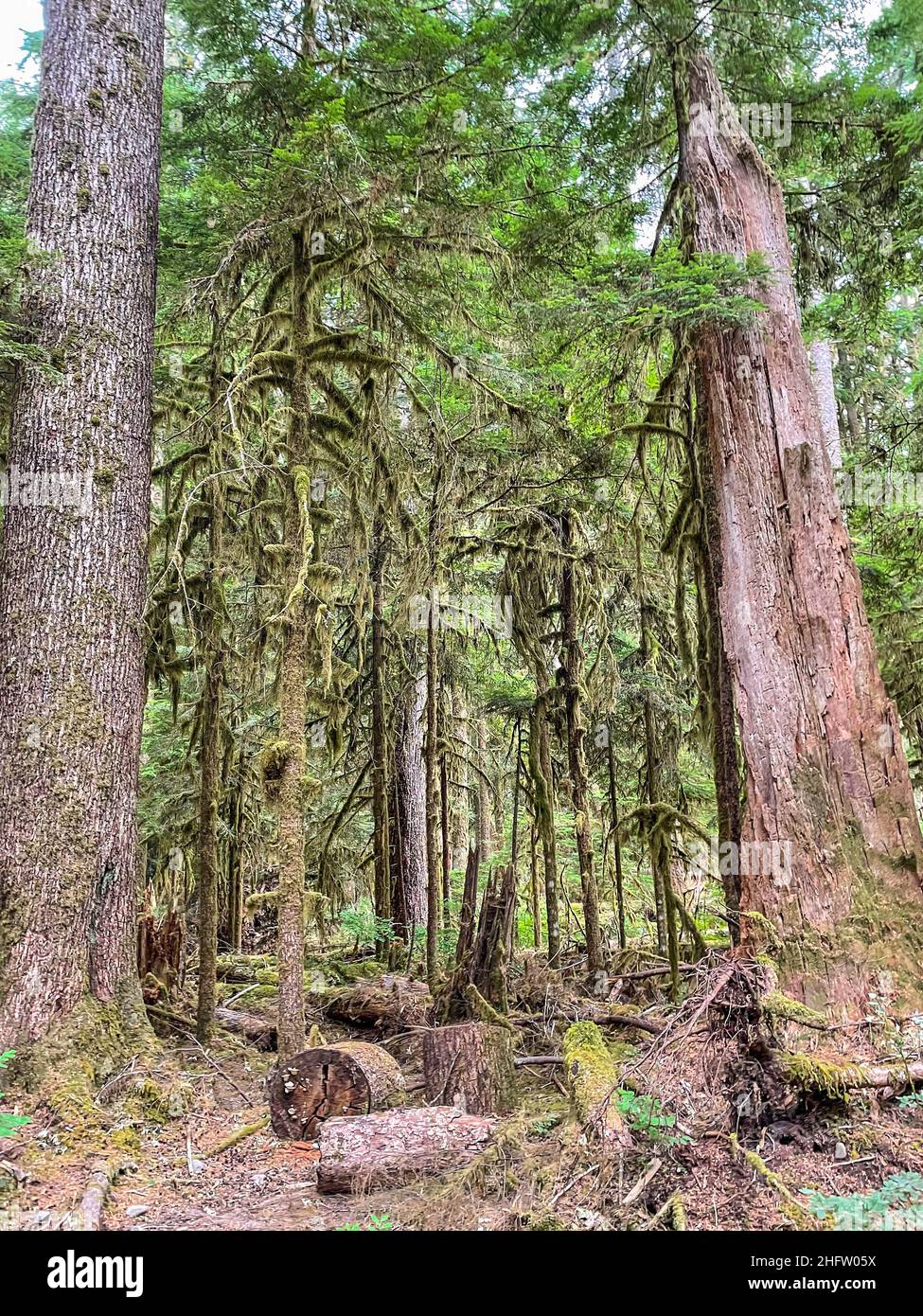 Le Cascate del Sol Duc nella Valle del Sol Duc sono chiamate le cascate ...