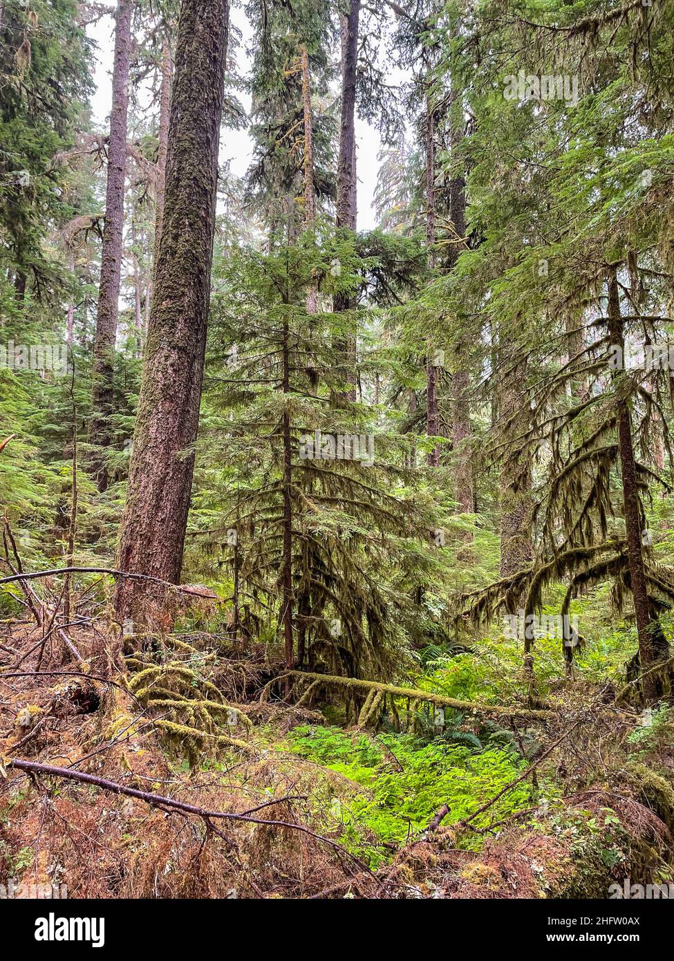 Le Cascate del Sol Duc nella Valle del Sol Duc sono chiamate le cascate ...