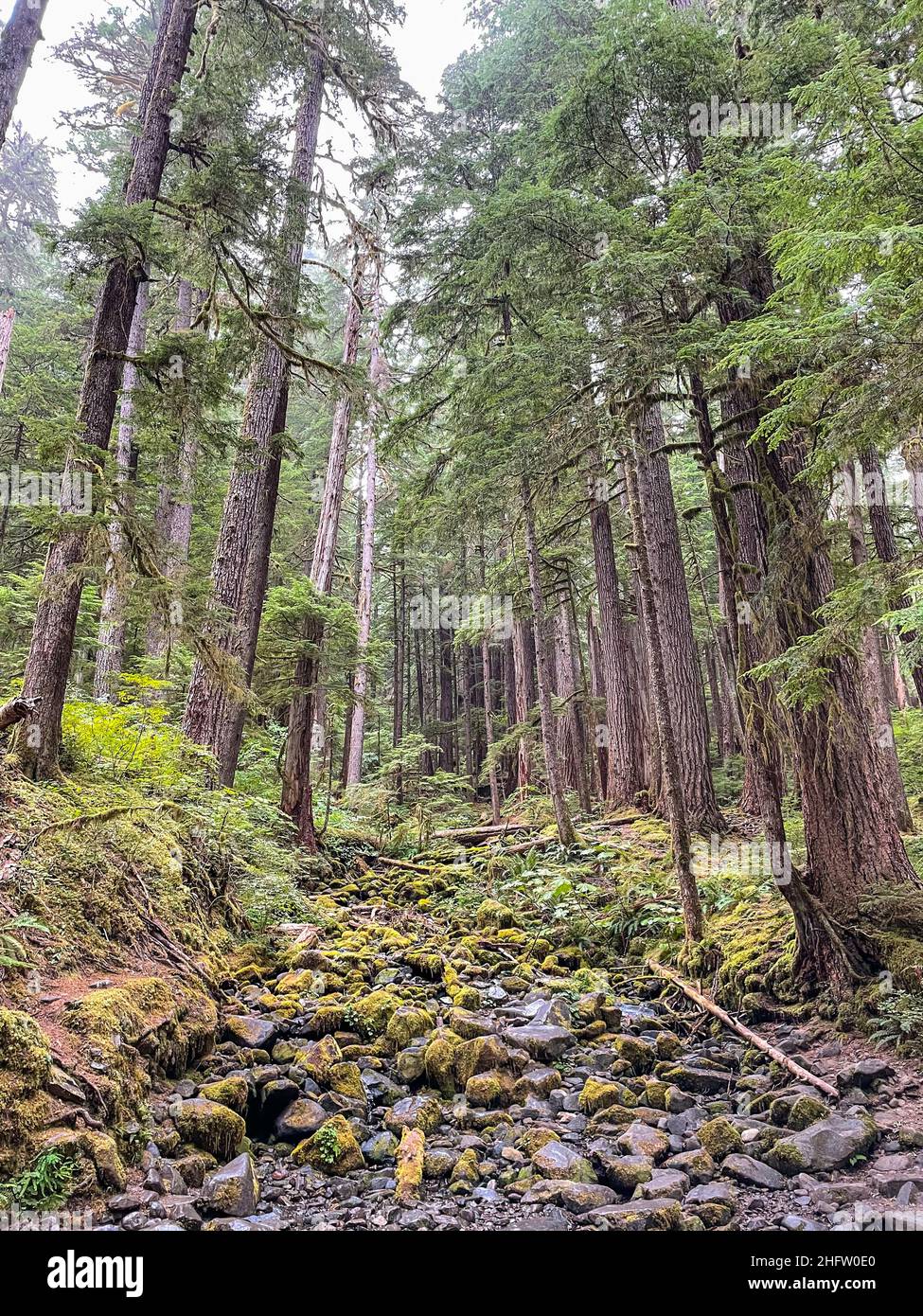 Le Cascate del Sol Duc nella Valle del Sol Duc sono chiamate le cascate ...