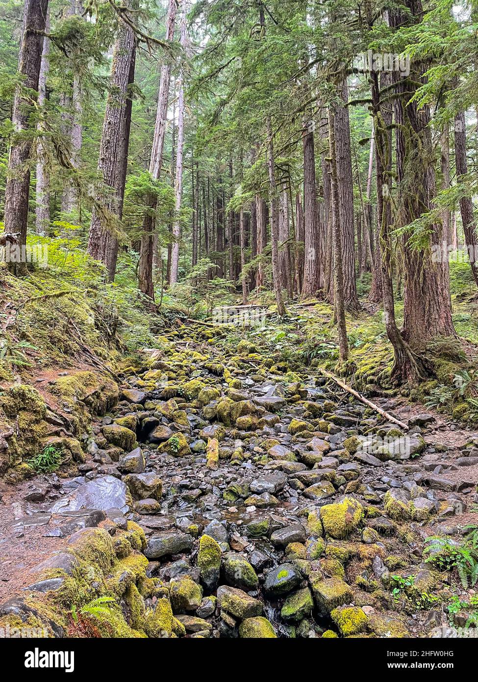 Le Cascate del Sol Duc nella Valle del Sol Duc sono chiamate le cascate ...