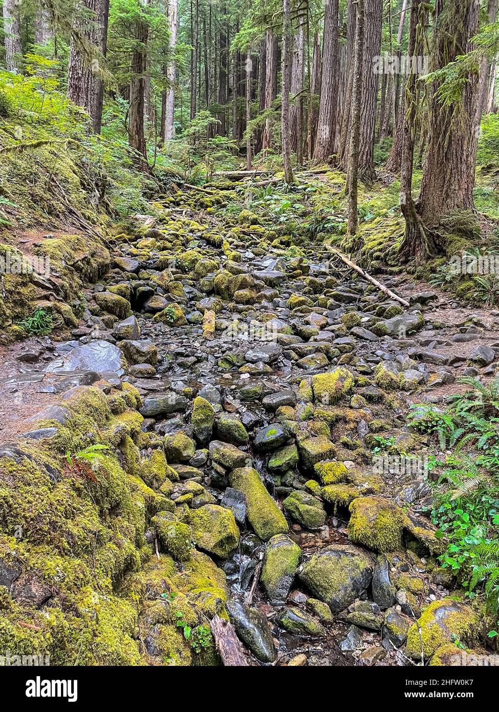 Le Cascate del Sol Duc nella Valle del Sol Duc sono chiamate le cascate ...