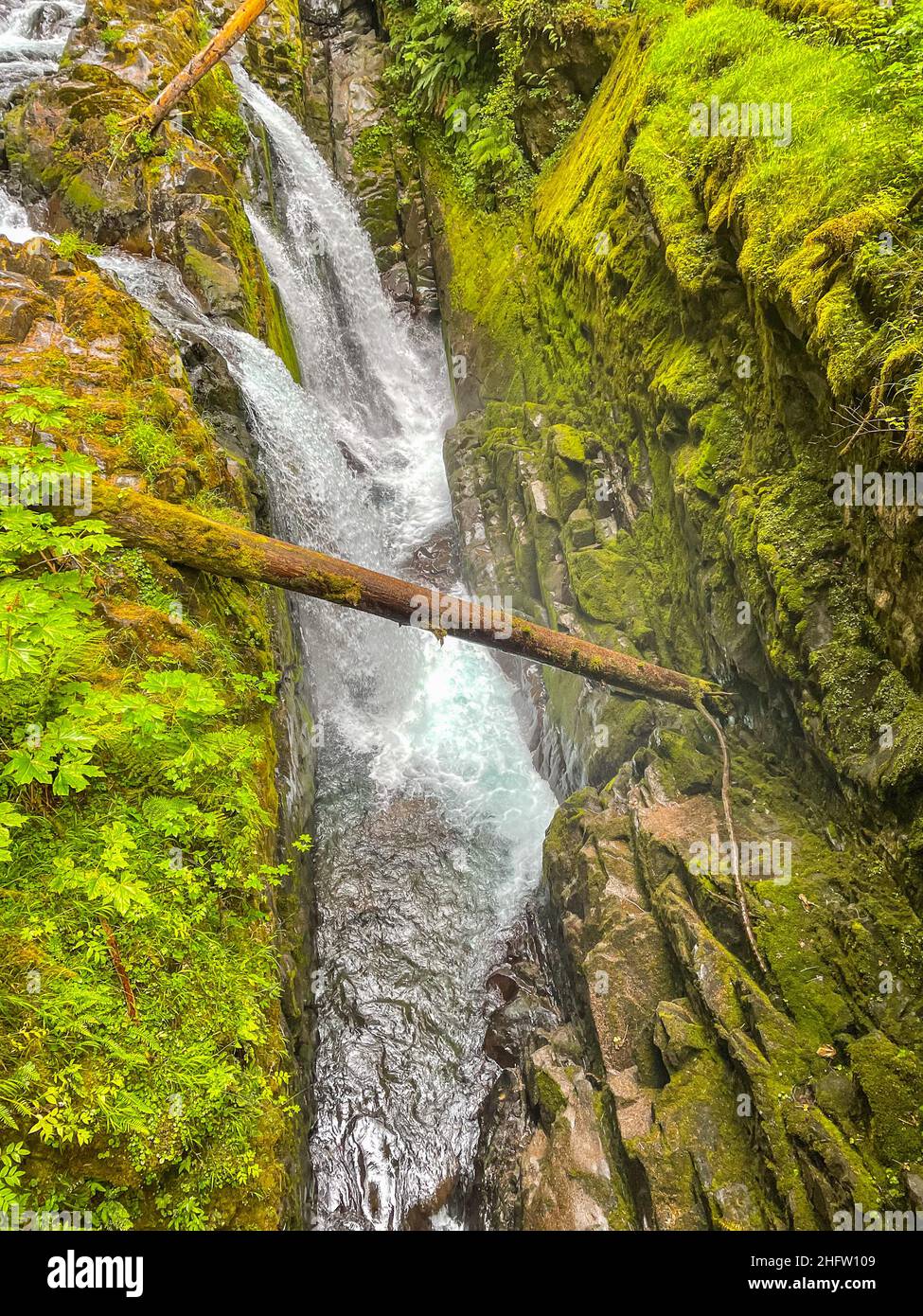 Le Cascate del Sol Duc nella Valle del Sol Duc sono chiamate le cascate ...