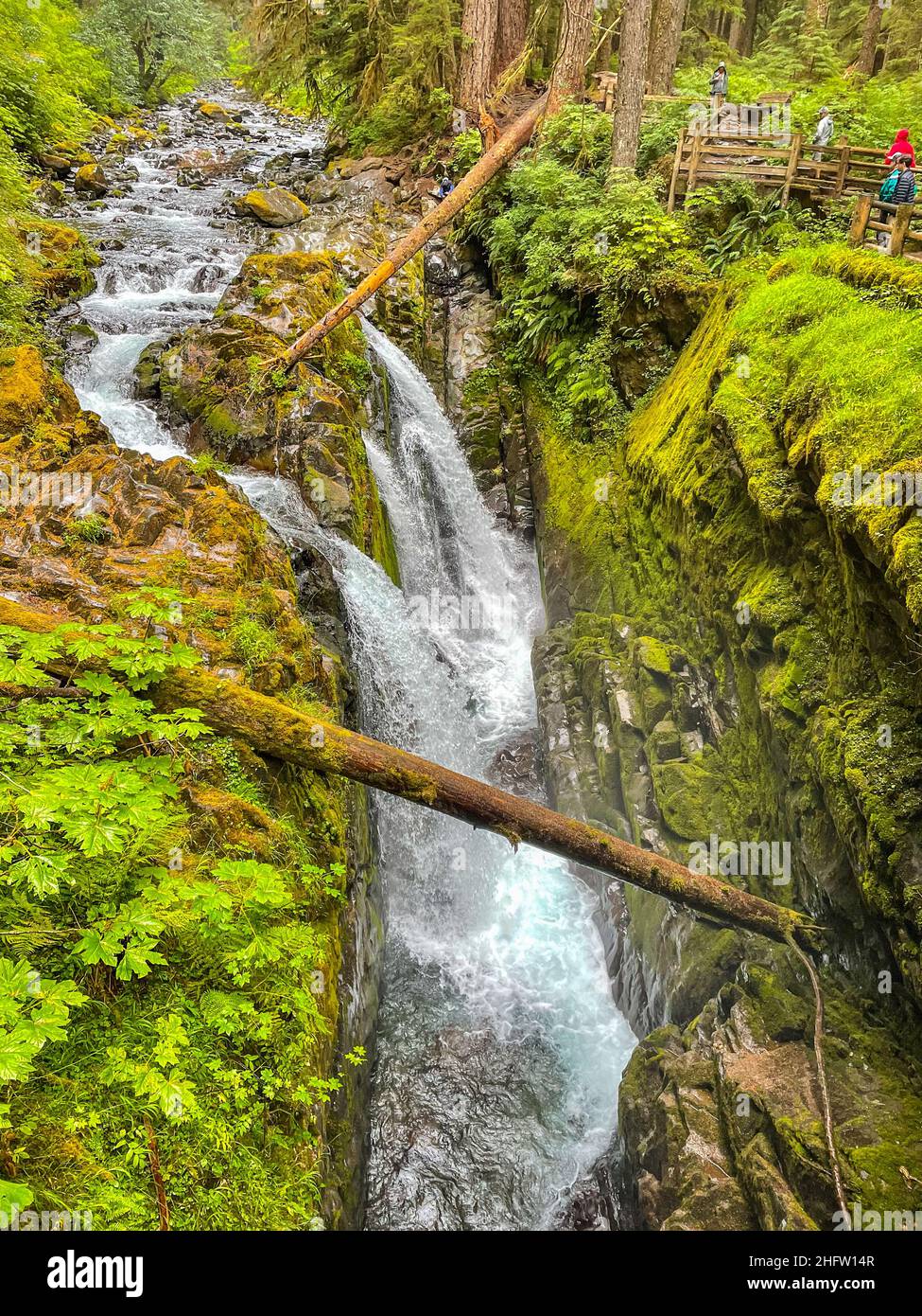 Le Cascate del Sol Duc nella Valle del Sol Duc sono chiamate le cascate ...