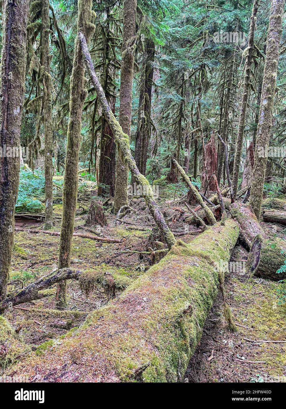 Le Cascate del Sol Duc nella Valle del Sol Duc sono chiamate le cascate ...