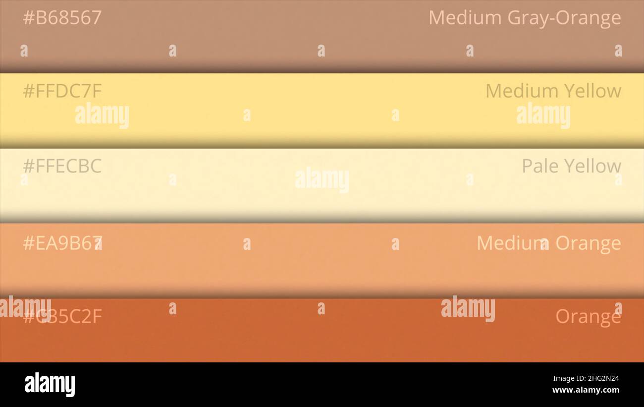 Guida alla tavolozza dei colori. Colori Web. Catalogo dei colori di ...