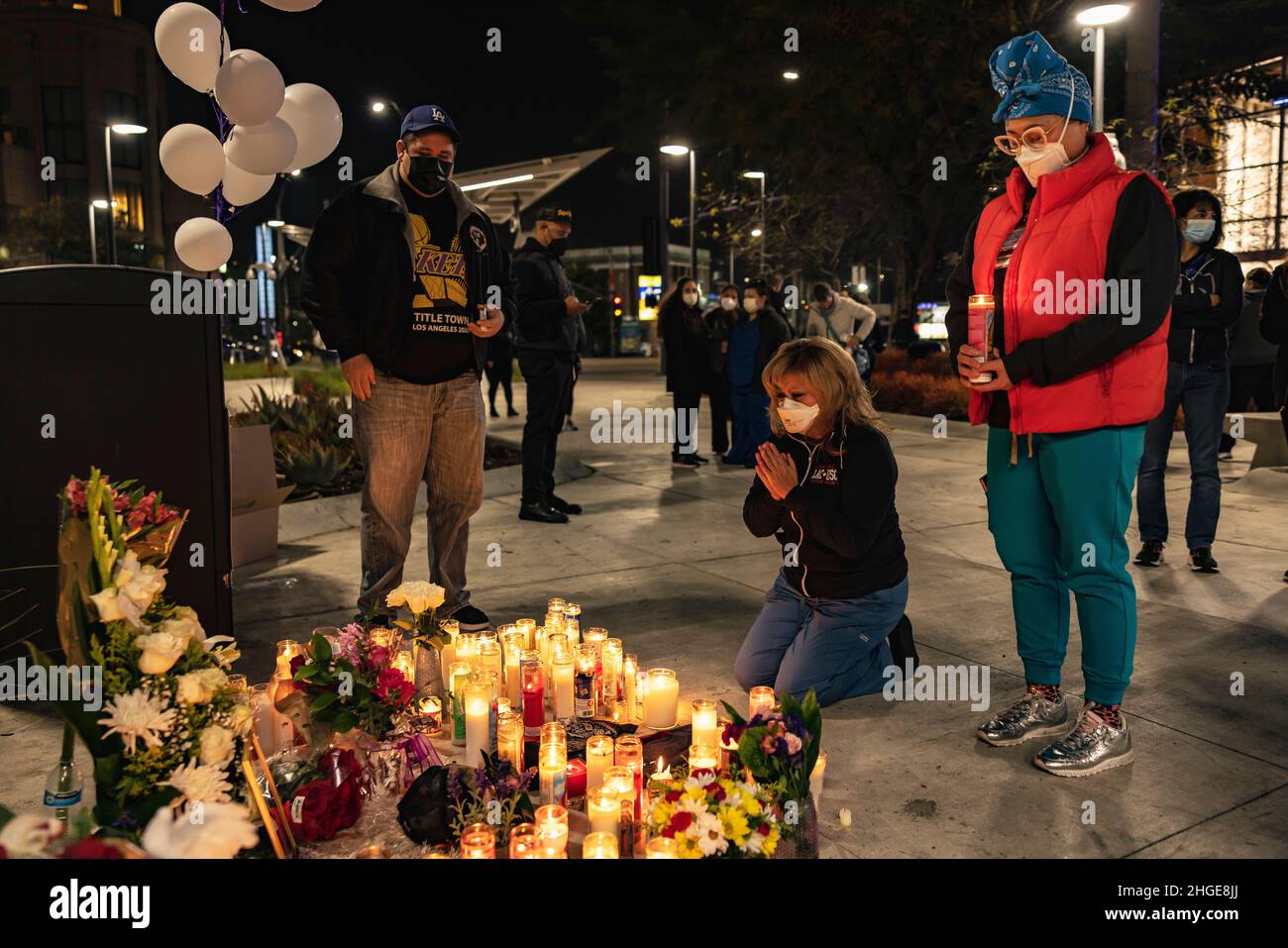 Conchiglie di sandra immagini e fotografie stock ad alta risoluzione ...