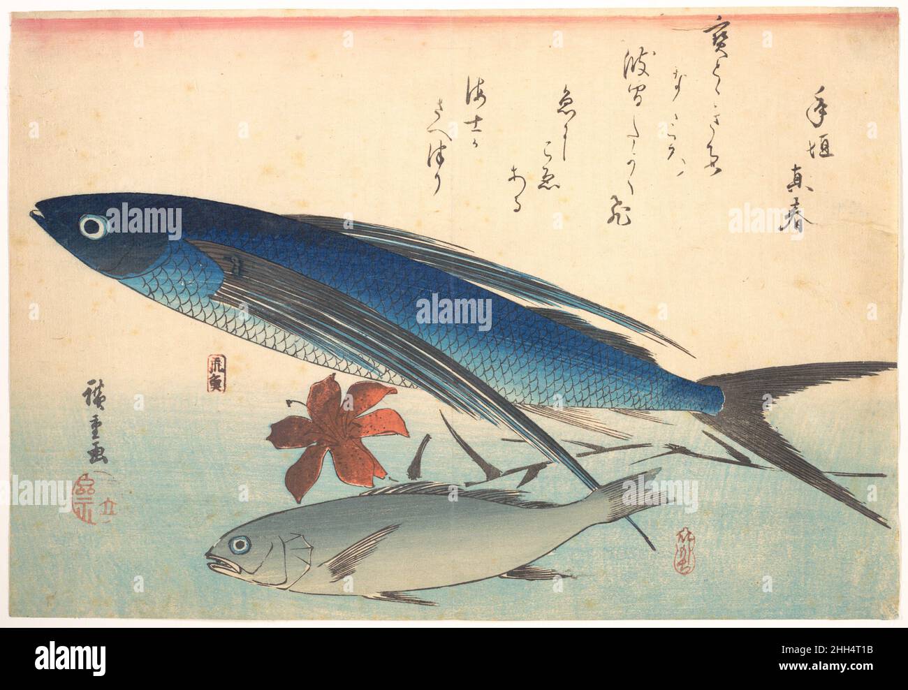 Tobiuo e Ishimochi Fish, dalla serie Uozukushi (ogni varietà di pesce ...