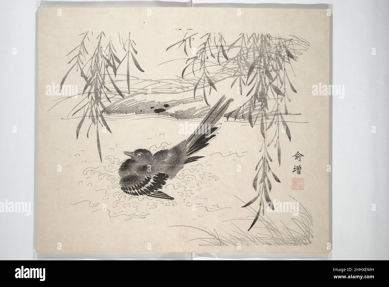 Chikuto nakabayashi giapponese immagini e fotografie stock ad alta ...