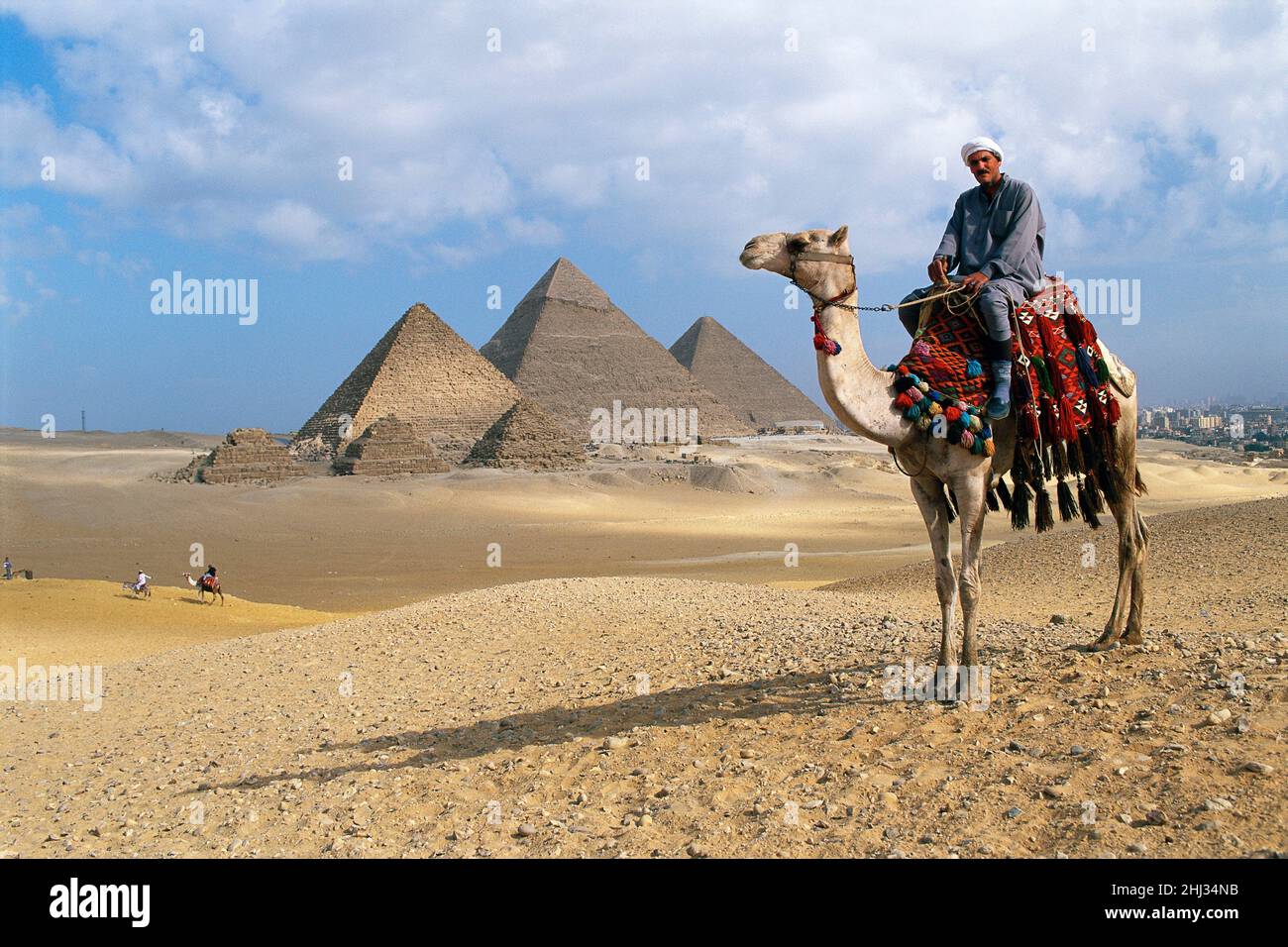 Cammelli Di Fronte Alle Piramidi Di Giza Immagini e Fotos Stock - Alamy