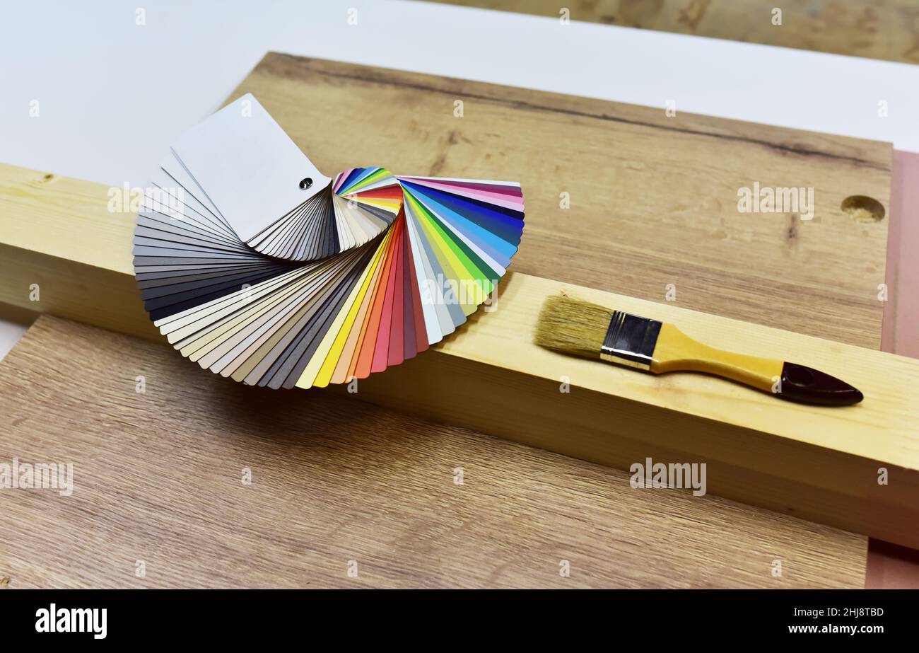 Tavolozza dei colori campioni con pennello. Tavolozza di diversi colori ...