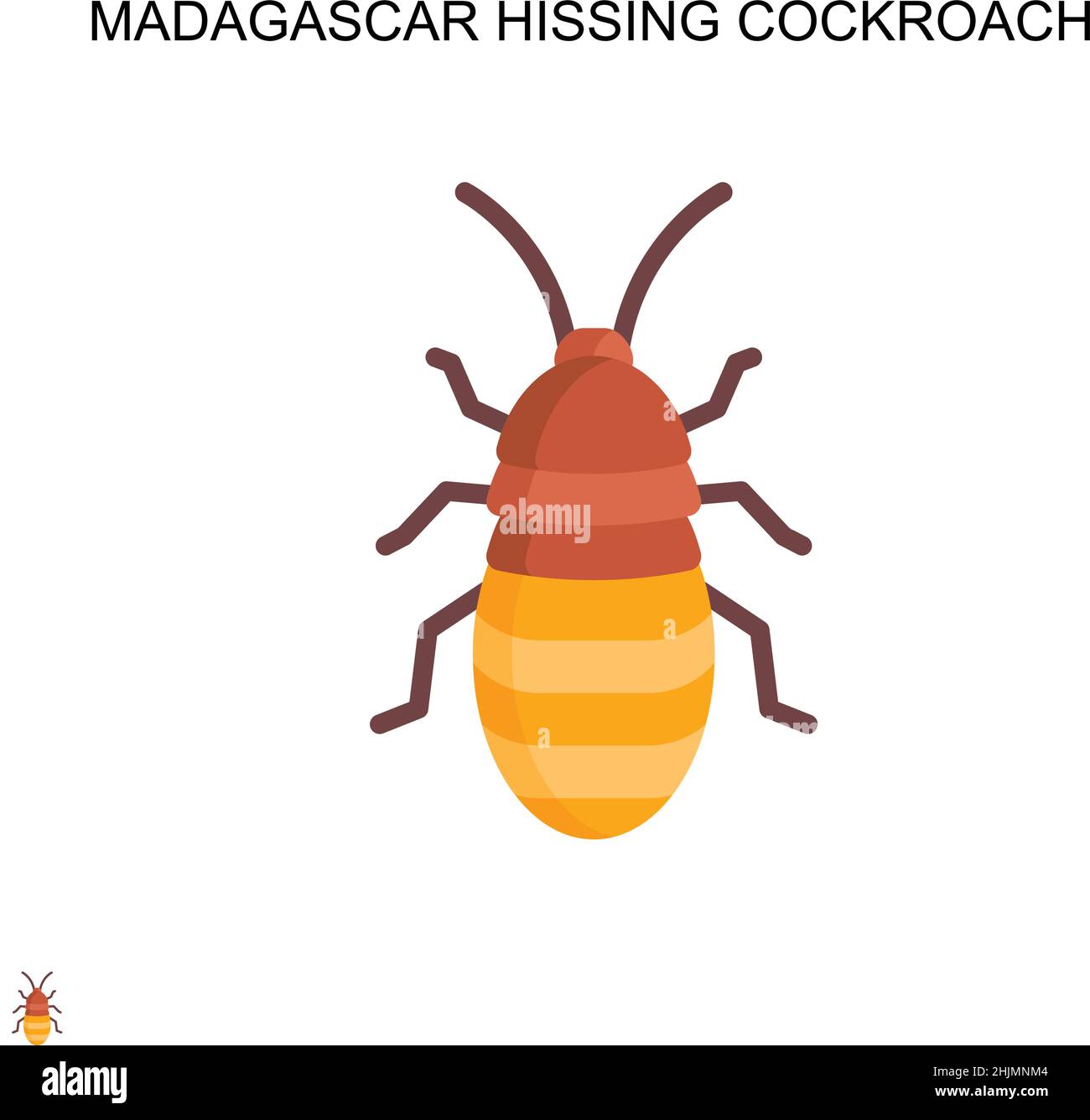 Scarafaggio sibilante madagascar Immagini Vettoriali Stock - Alamy