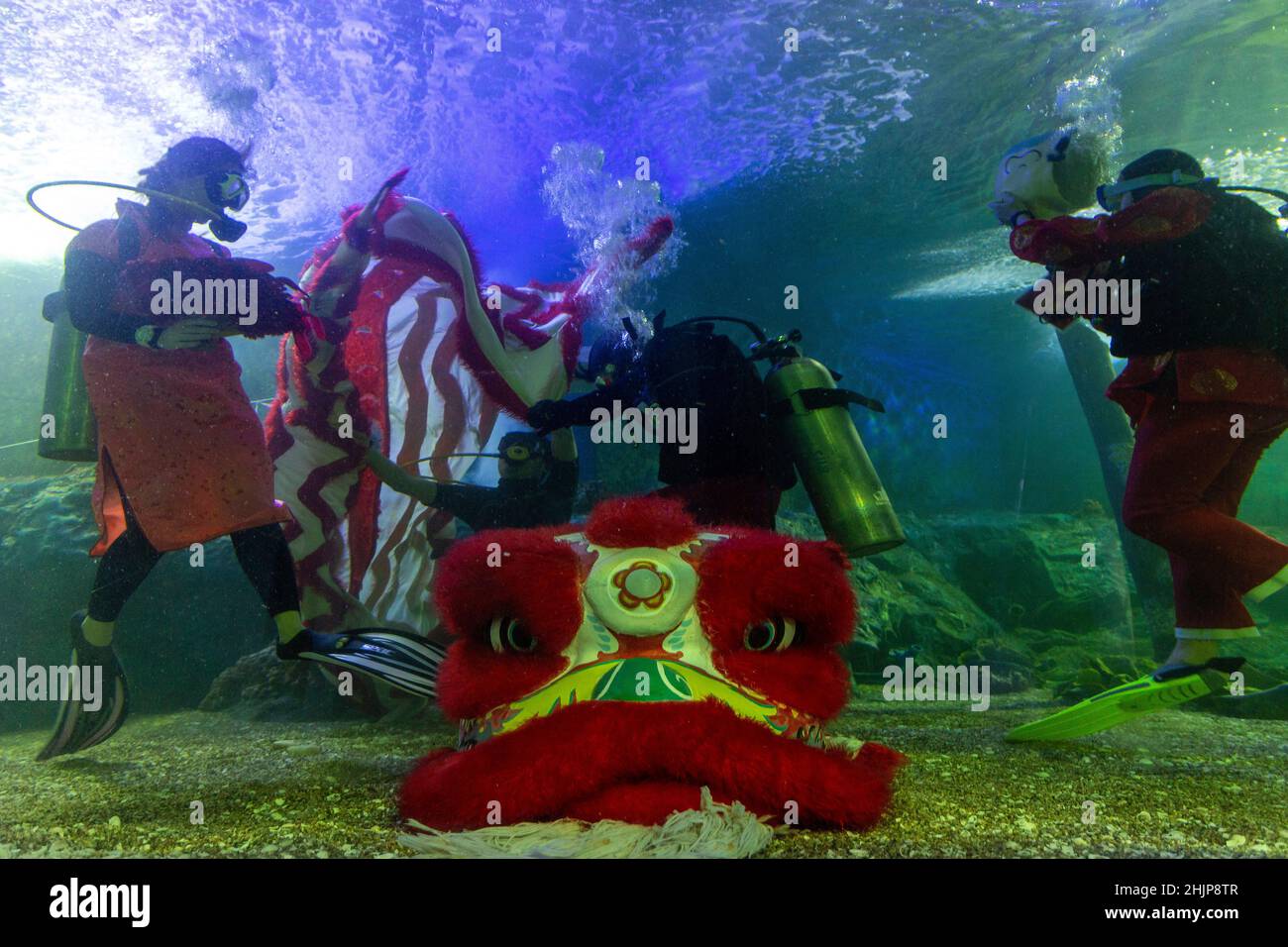 Danza del leone sott'acqua immagini e fotografie stock ad alta ...