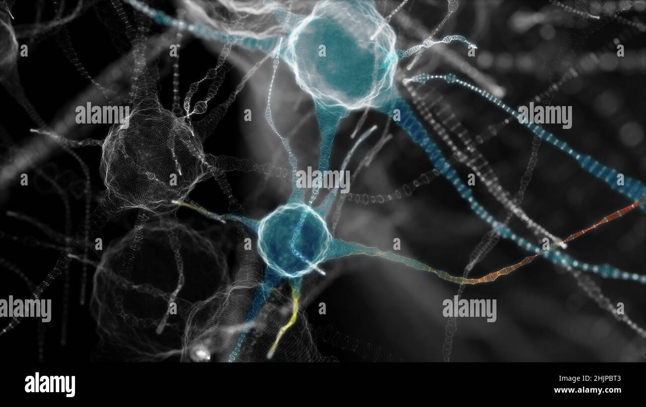 Struttura neuronale immagini e fotografie stock ad alta risoluzione - Alamy