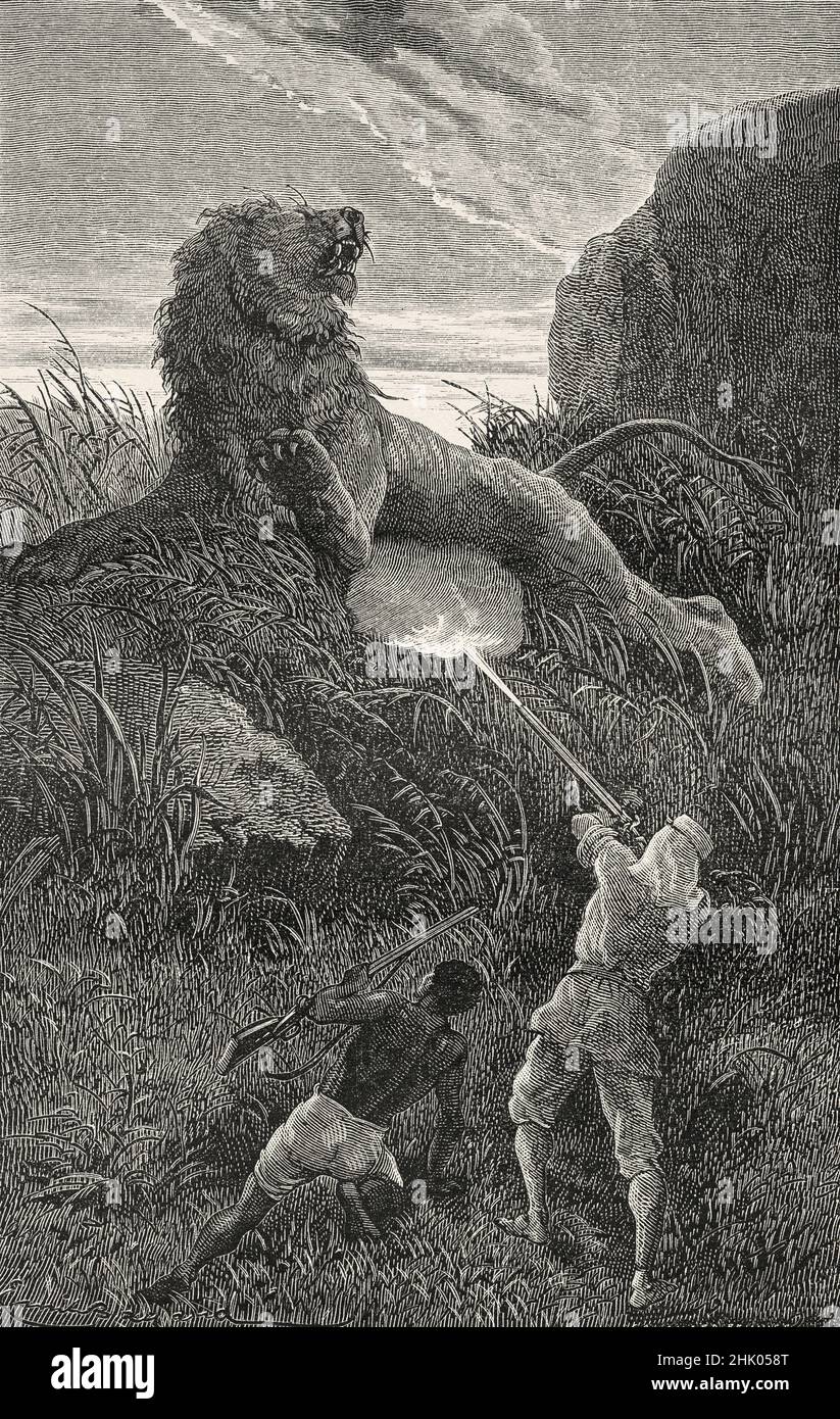 Scena di caccia. Cacciatore che spara un leone, Abissinia. Africa ...