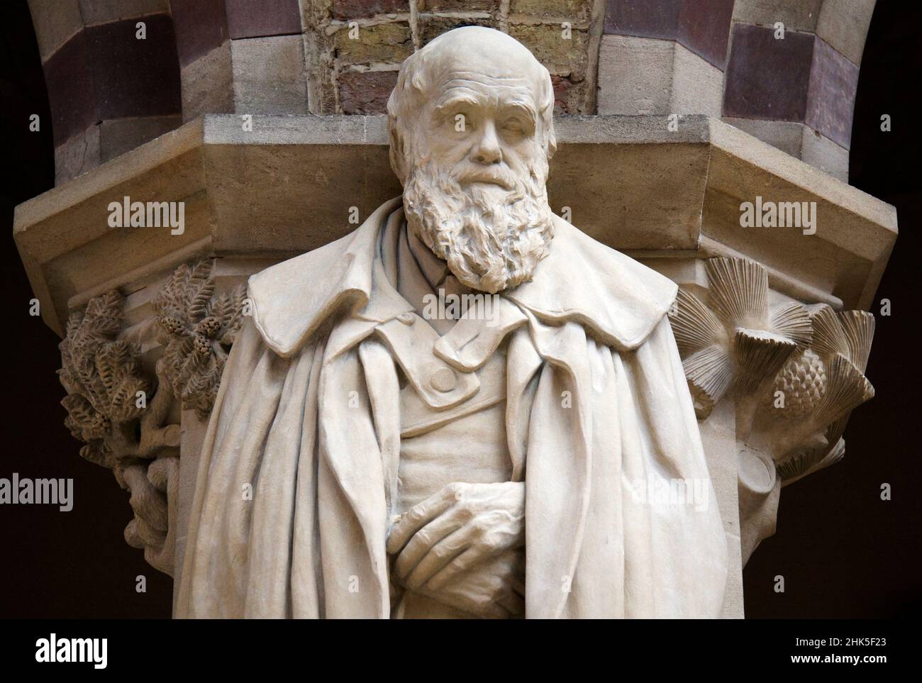 Il Pitt Rivers Museum è un museo che espone le collezioni archeologiche ...