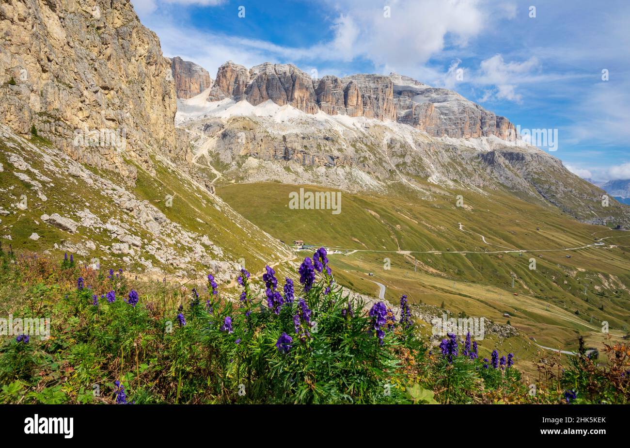 Gruppo del sella immagini e fotografie stock ad alta risoluzione - Alamy