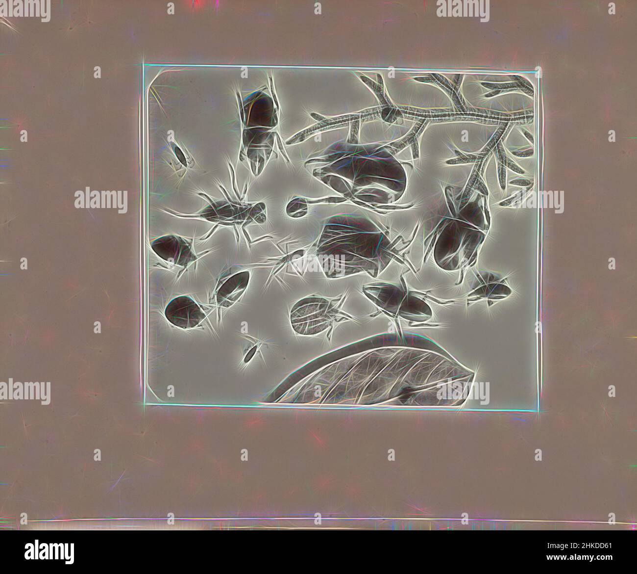 Ispirato dagli insetti ('Insekten (im Lebensgröße nach dem Natur)'), C ...