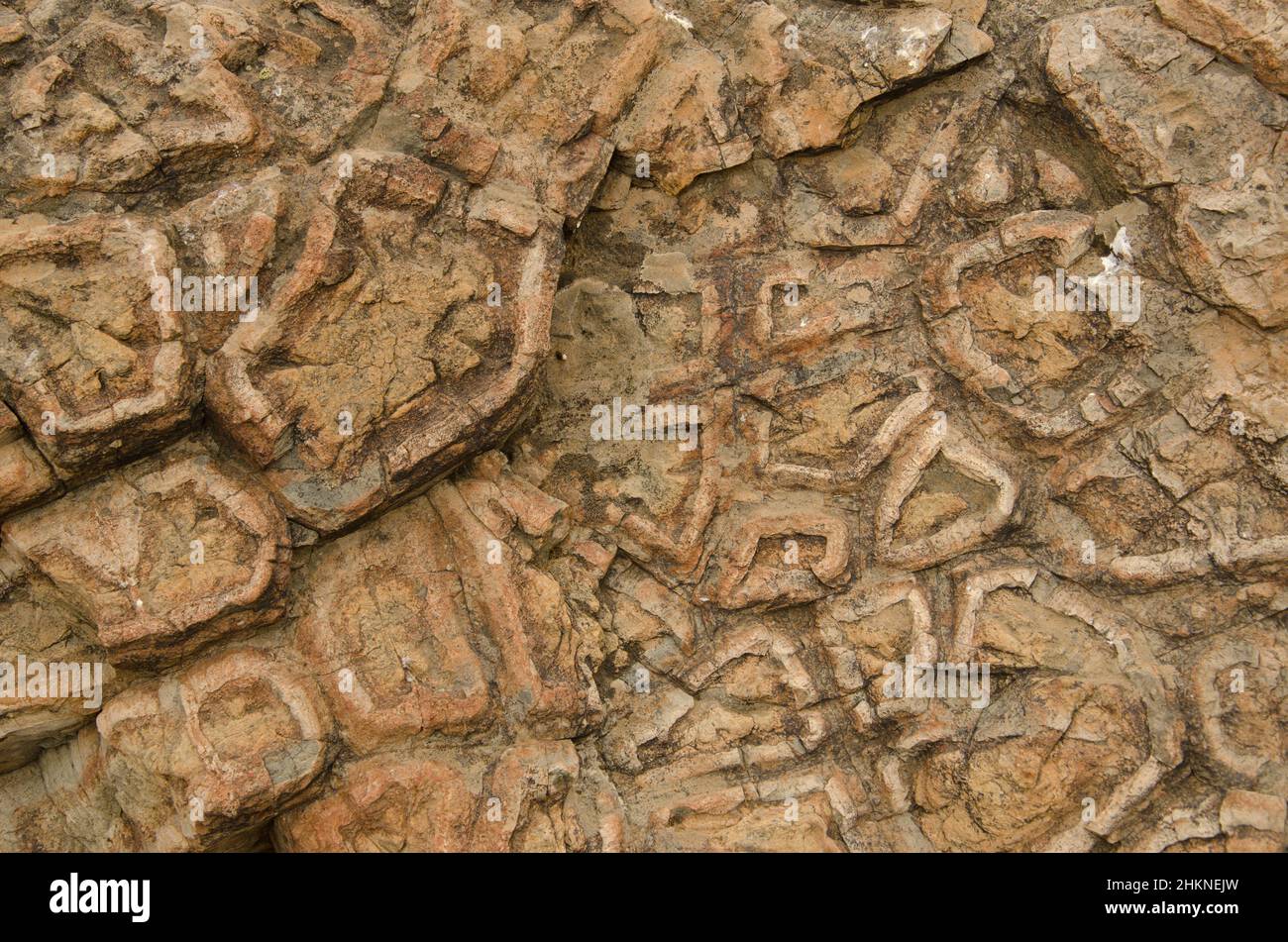 Colonnato basaltico immagini e fotografie stock ad alta risoluzione - Alamy