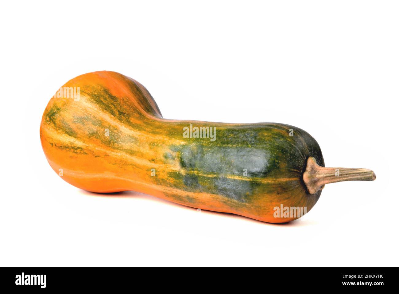 Zucca lunga napoletana immagini e fotografie stock ad alta risoluzione ...