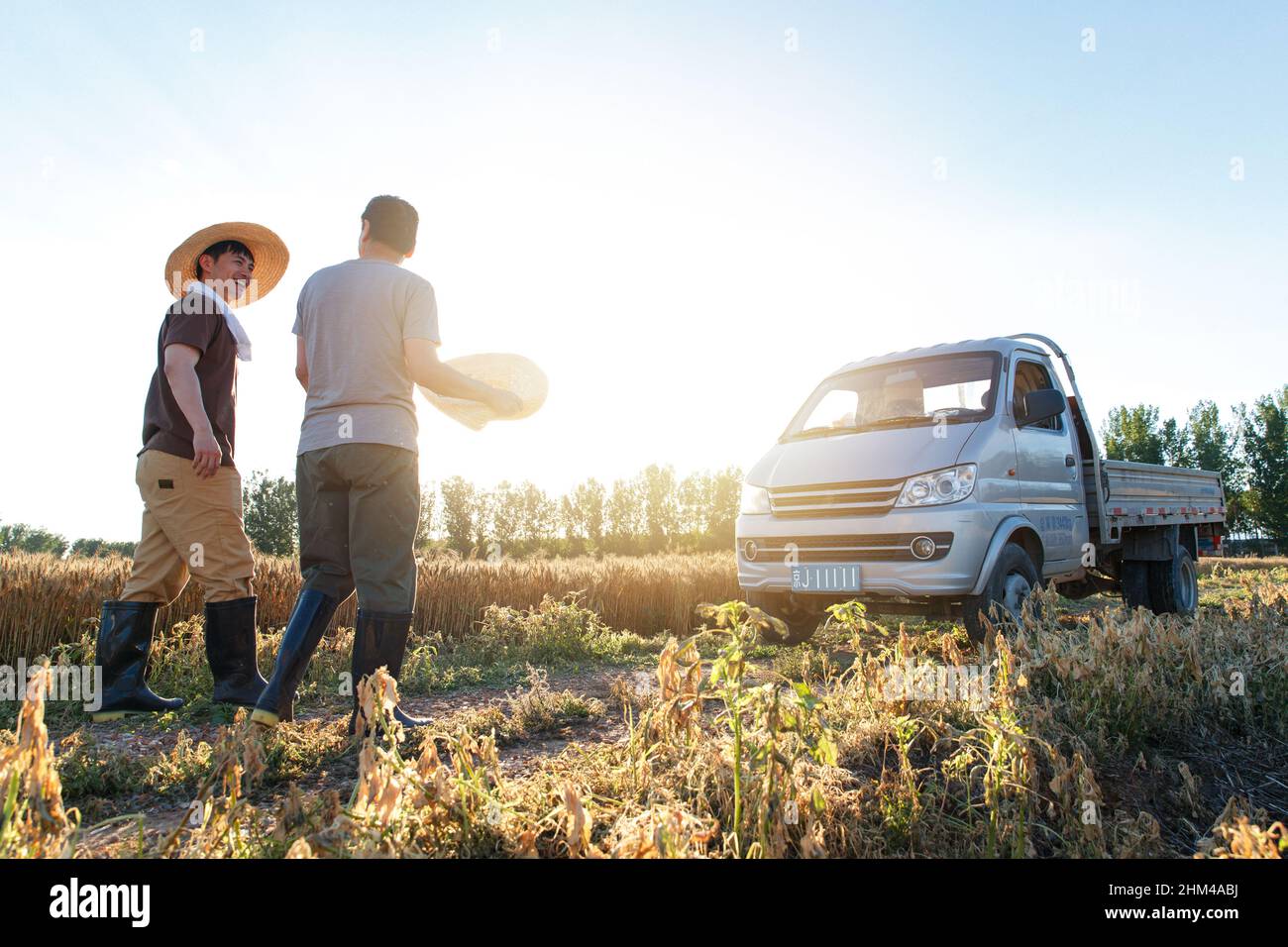 Contadini indiani immagini e fotografie stock ad alta risoluzione - Alamy
