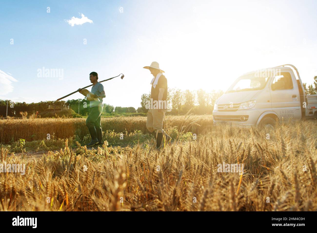 Contadini indiani immagini e fotografie stock ad alta risoluzione - Alamy