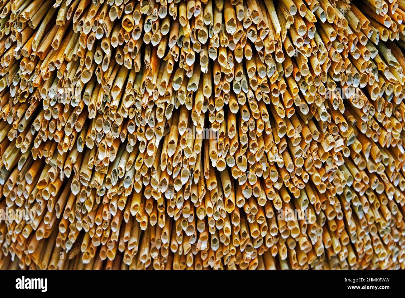 Sfondo texture naturale immagini e fotografie stock ad alta risoluzione ...