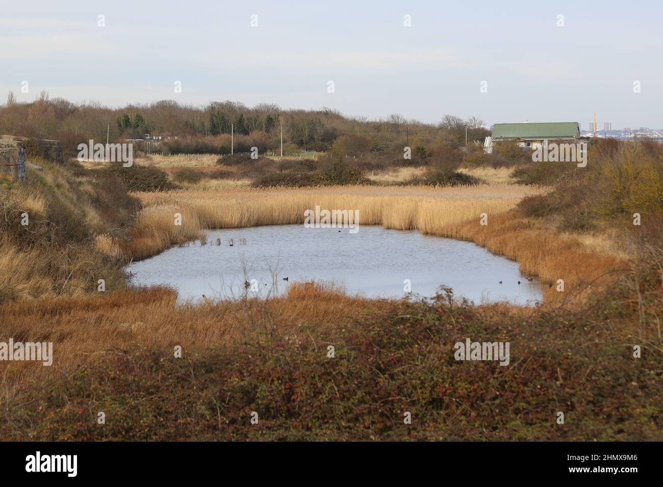 Isola di thanet immagini e fotografie stock ad alta risoluzione - Alamy