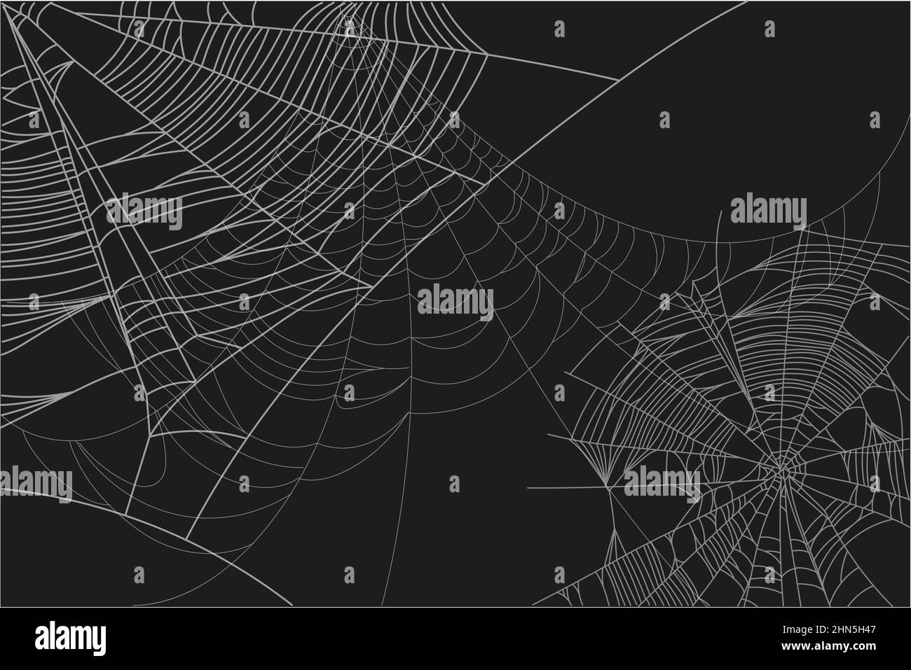 Le parti del nastro del ragno sono isolate su sfondo nero. Spaventoso ...
