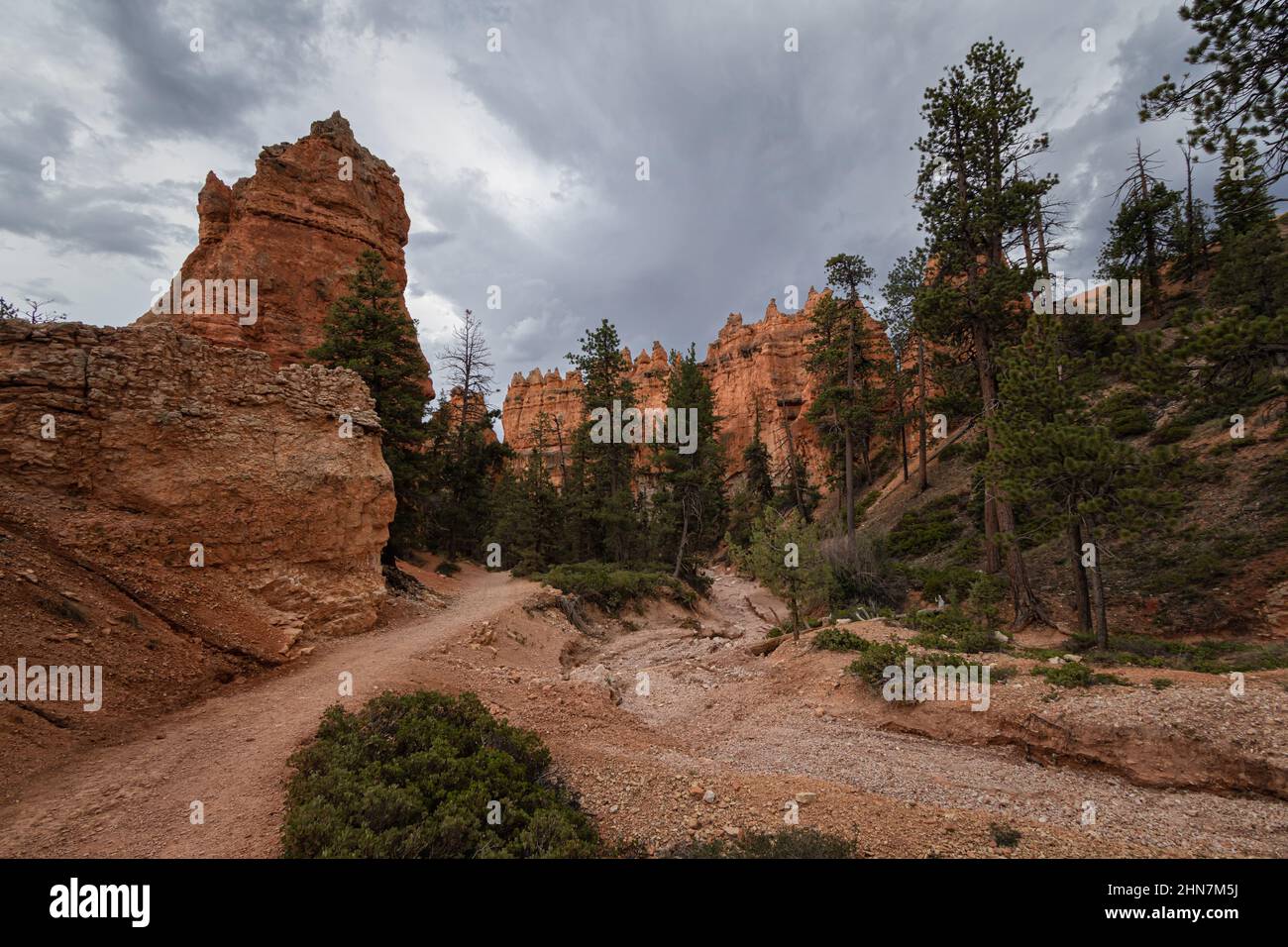 Bryce town immagini e fotografie stock ad alta risoluzione - Alamy