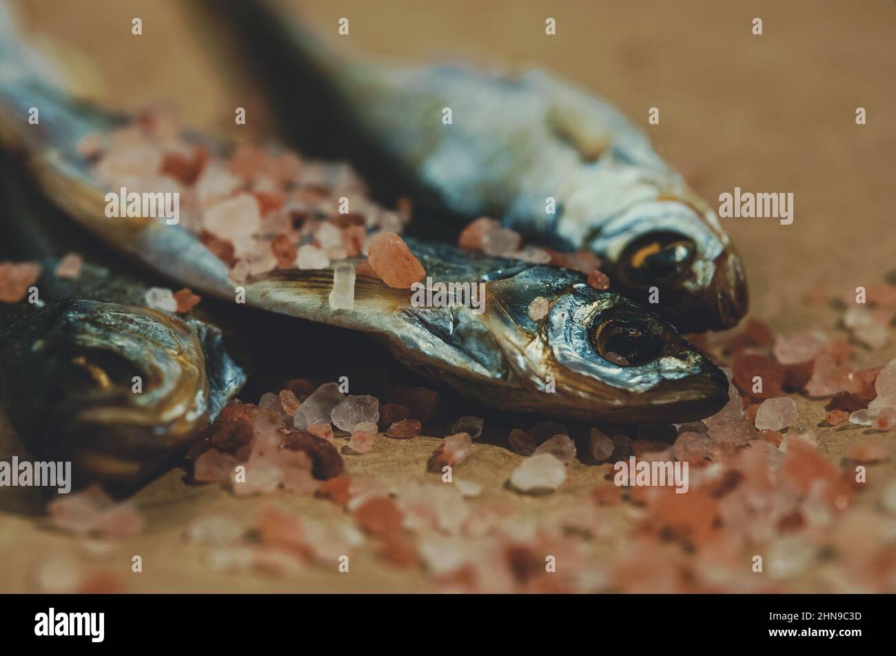 Pesce essiccato al sole immagini e fotografie stock ad alta risoluzione ...