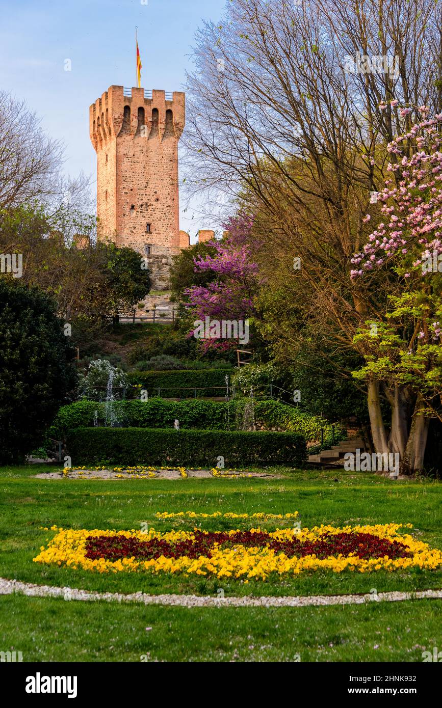 Castello carrarese immagini e fotografie stock ad alta risoluzione - Alamy