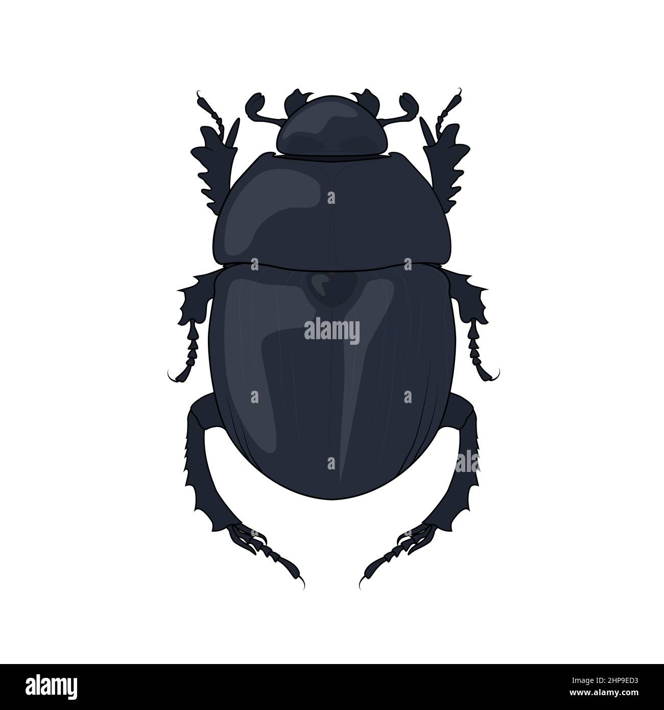 Scarabeo, antico simbolo dell'Egitto. Disegno di bug del vettore ...