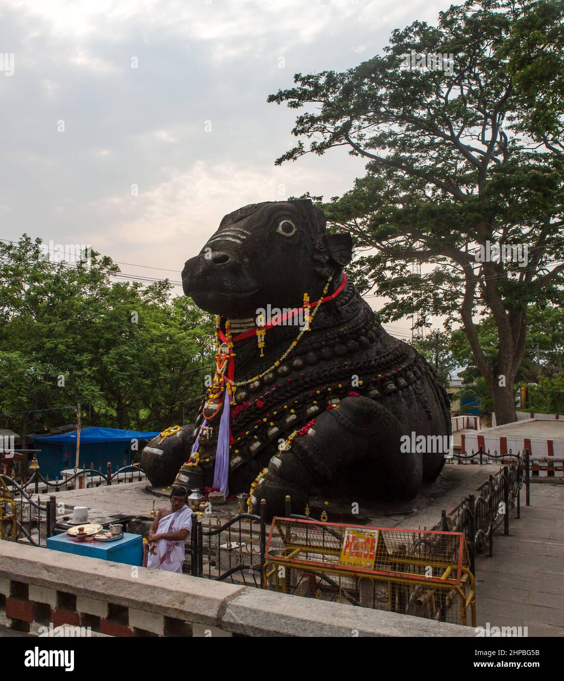 Nandi gigante immagini e fotografie stock ad alta risoluzione - Alamy