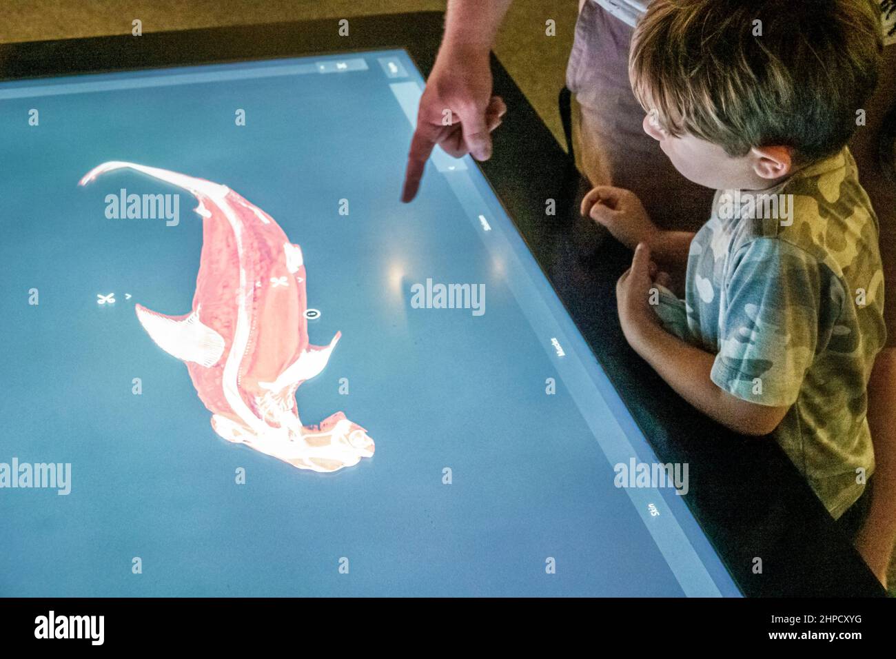 Miami Florida Phillip Patricia Frost Museum of Science Inside mostra ...