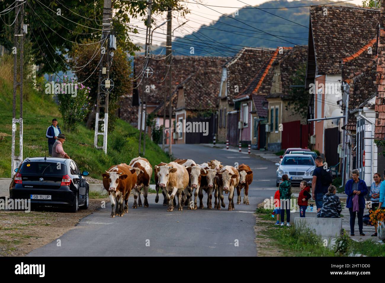 Villaggio rurale contadino immagini e fotografie stock ad alta ...