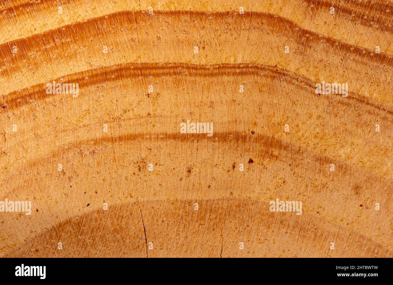 Teak wood texture immagini e fotografie stock ad alta risoluzione - Alamy