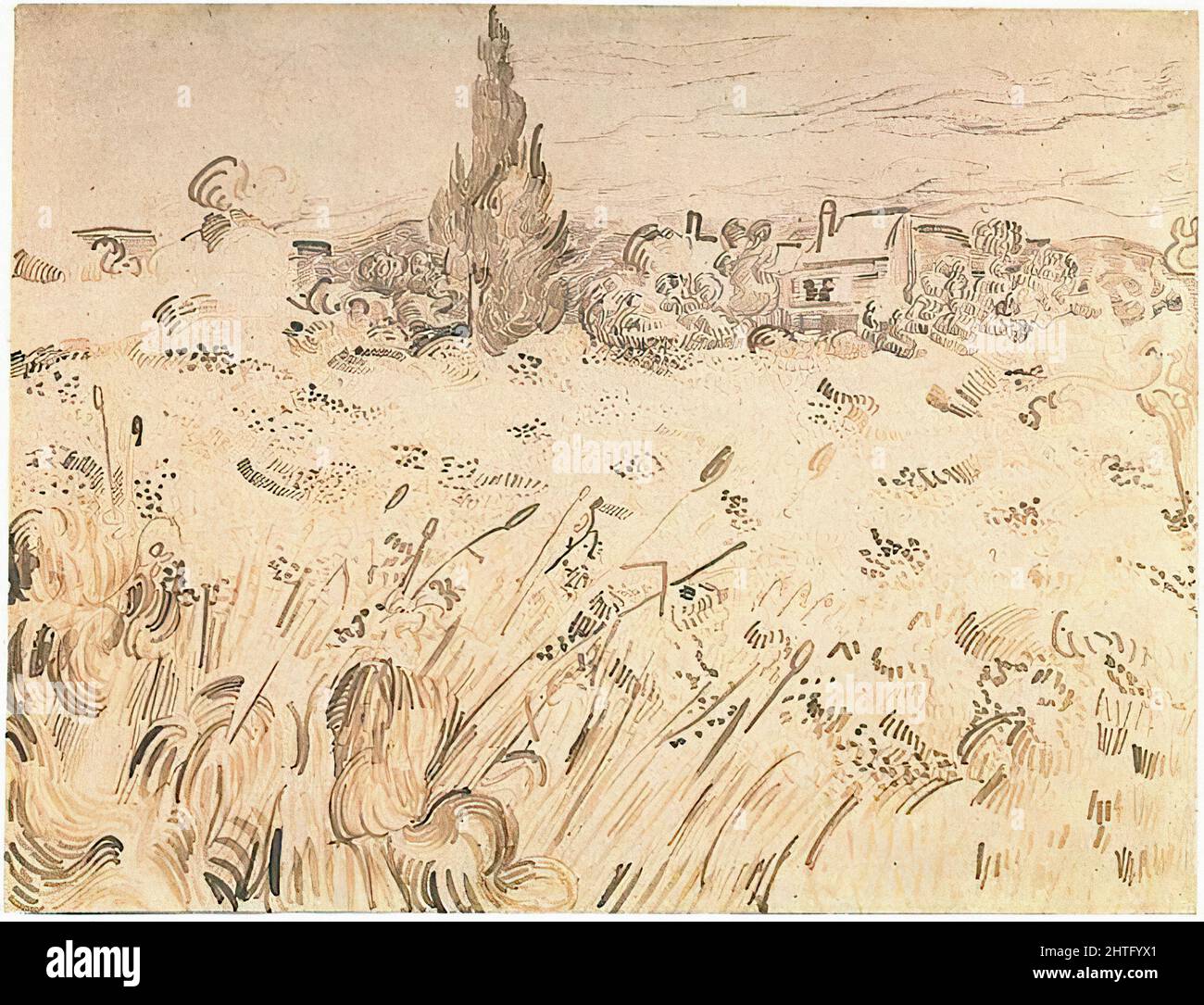 Campo di grano con cipressi van gogh immagini e fotografie stock ad ...