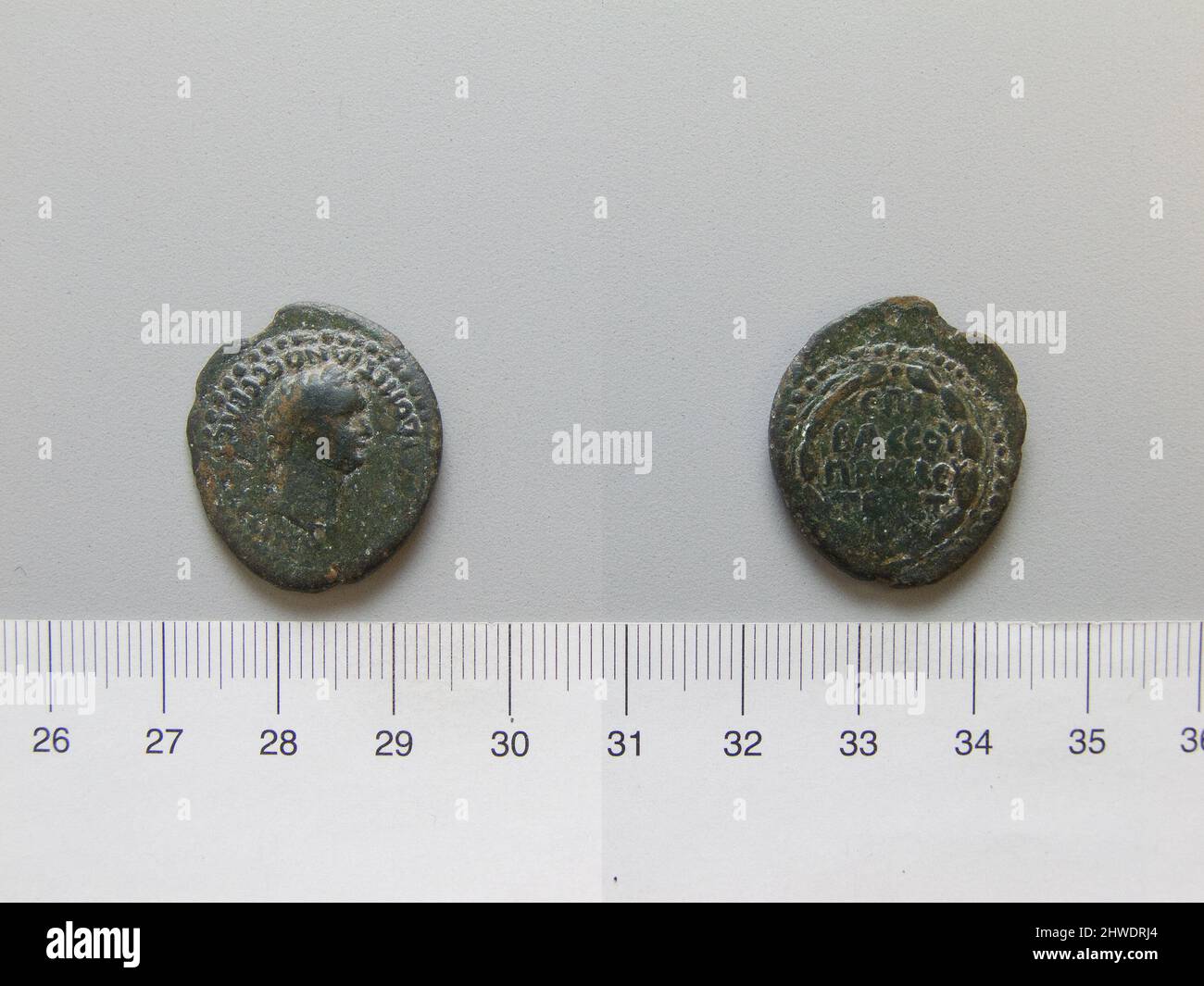 T pomponius bassus immagini e fotografie stock ad alta risoluzione - Alamy