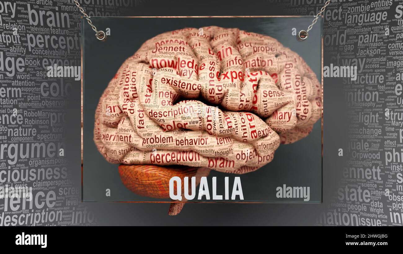 Anatomia di Qualia - le sue cause e gli effetti proiettati su un ...