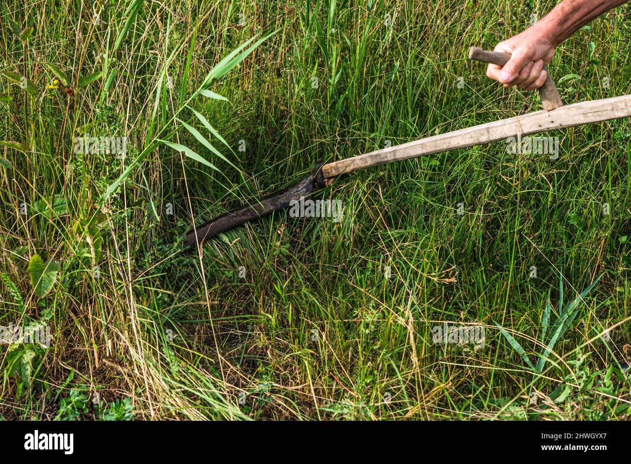 Falciare grano vecchia immagini e fotografie stock ad alta risoluzione ...