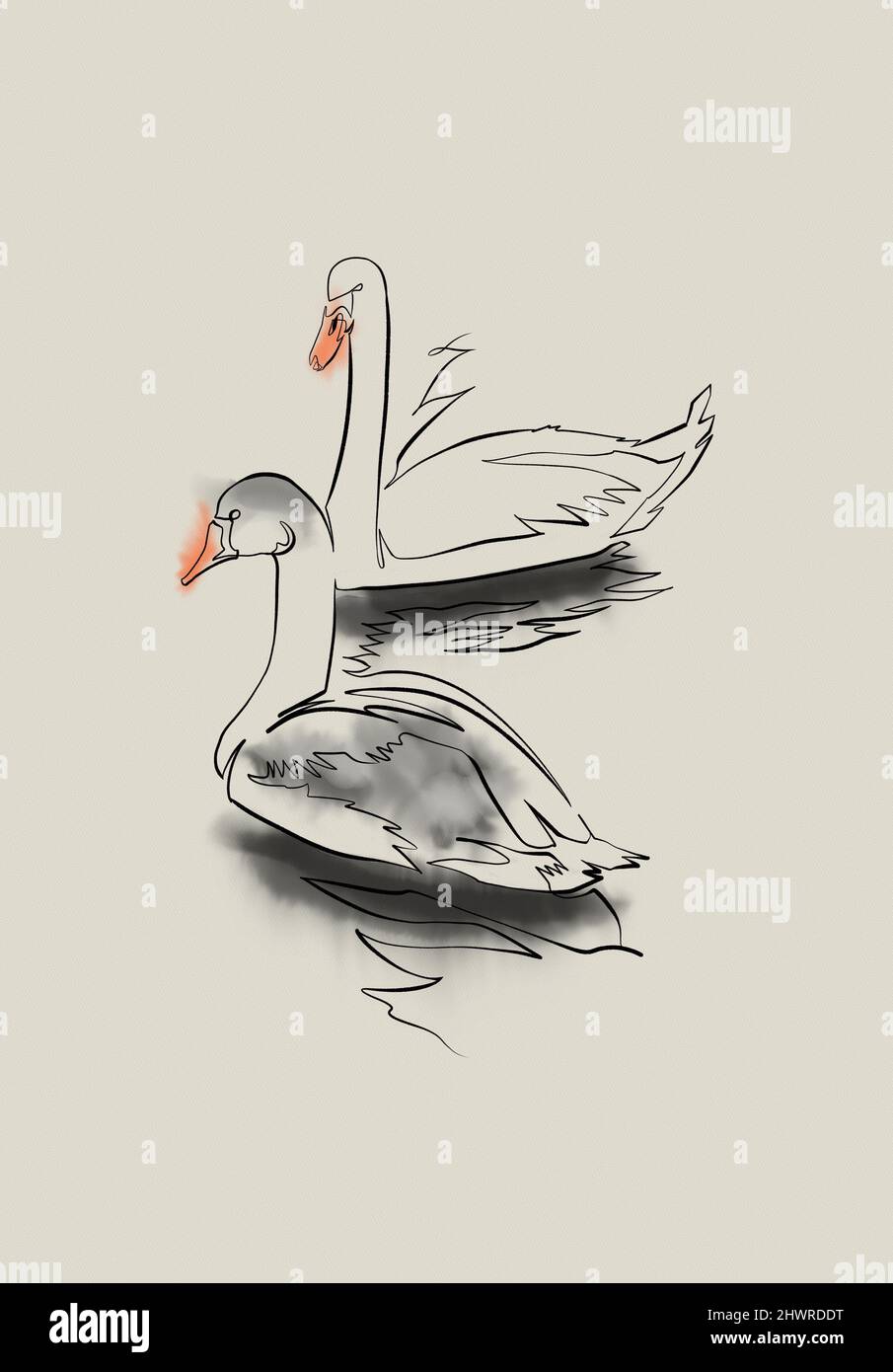 Disegno a mano oca immagini e fotografie stock ad alta risoluzione - Alamy