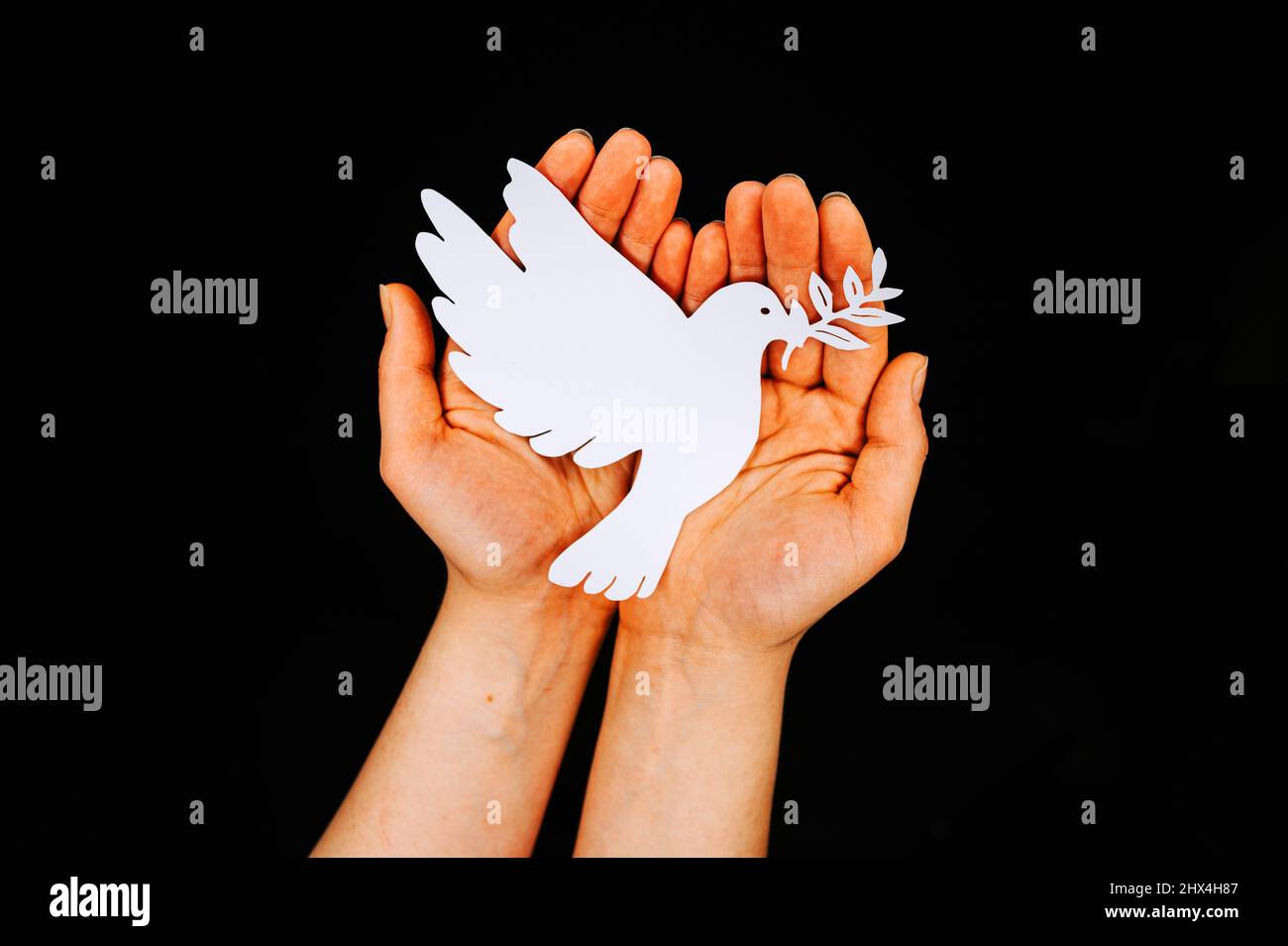 Simbolo della colomba della pace immagini e fotografie stock ad alta ...
