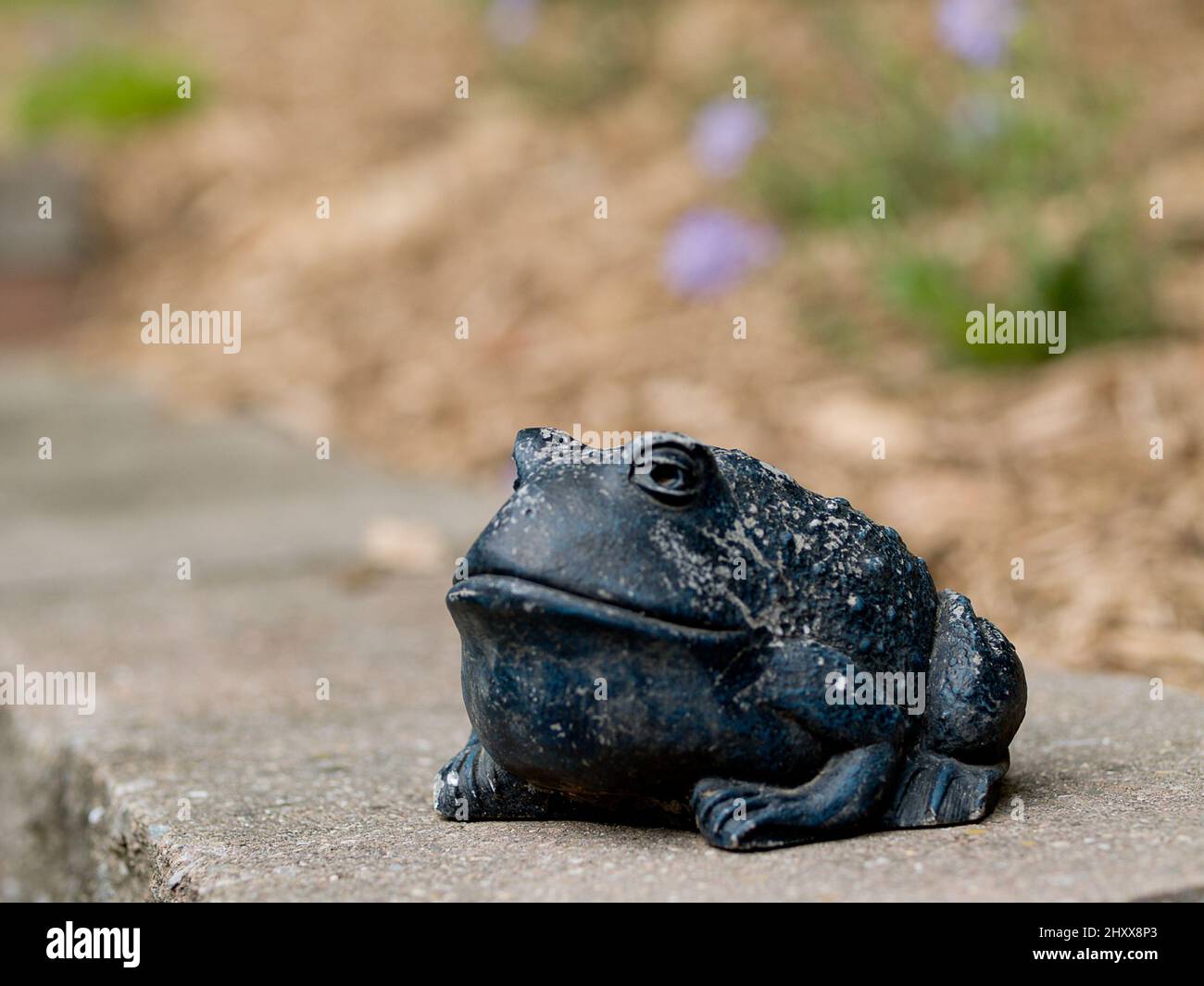 Prinzessin digitale kunst immagini e fotografie stock ad alta ...
