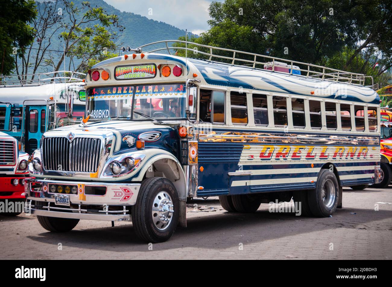Autobus verde e blu immagini e fotografie stock ad alta risoluzione - Alamy