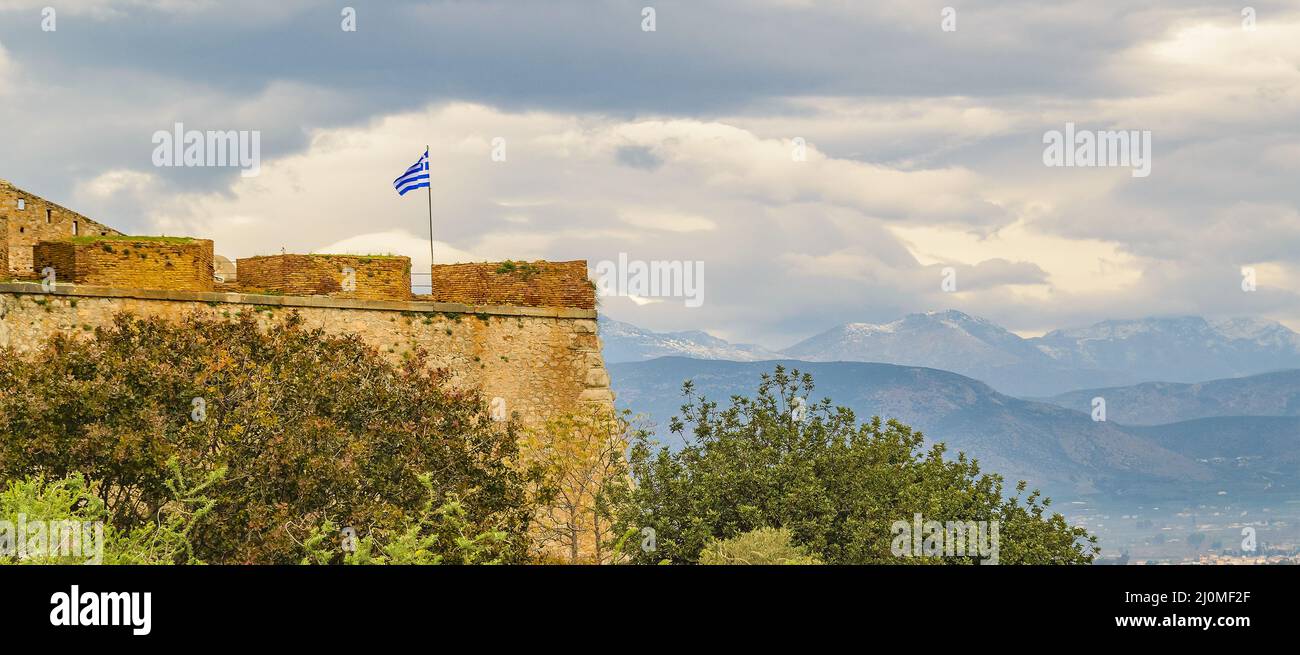 Macchia mediterranea immagini e fotografie stock ad alta risoluzione ...