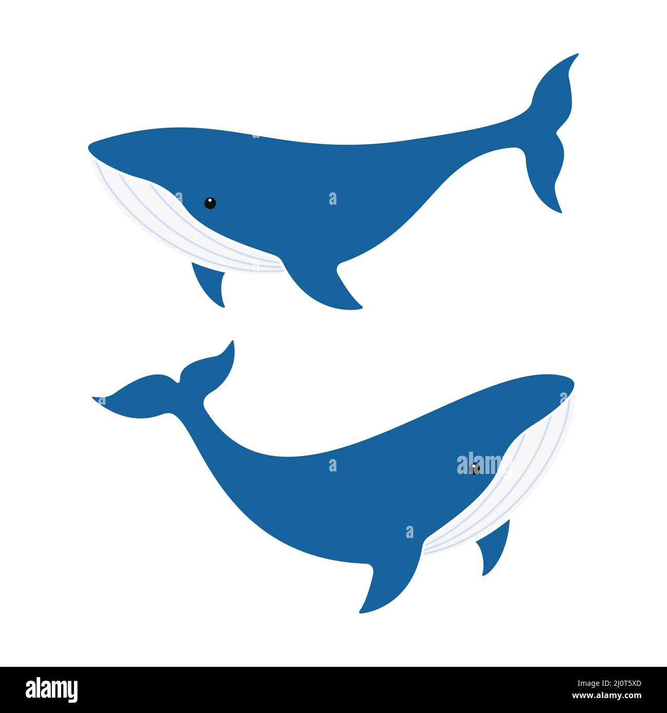 Enorme squalo balena Immagini Vettoriali Stock - Alamy